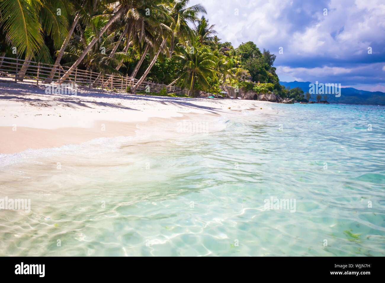 Tropical perfect beach with green palms,white sand and turquoise water ...