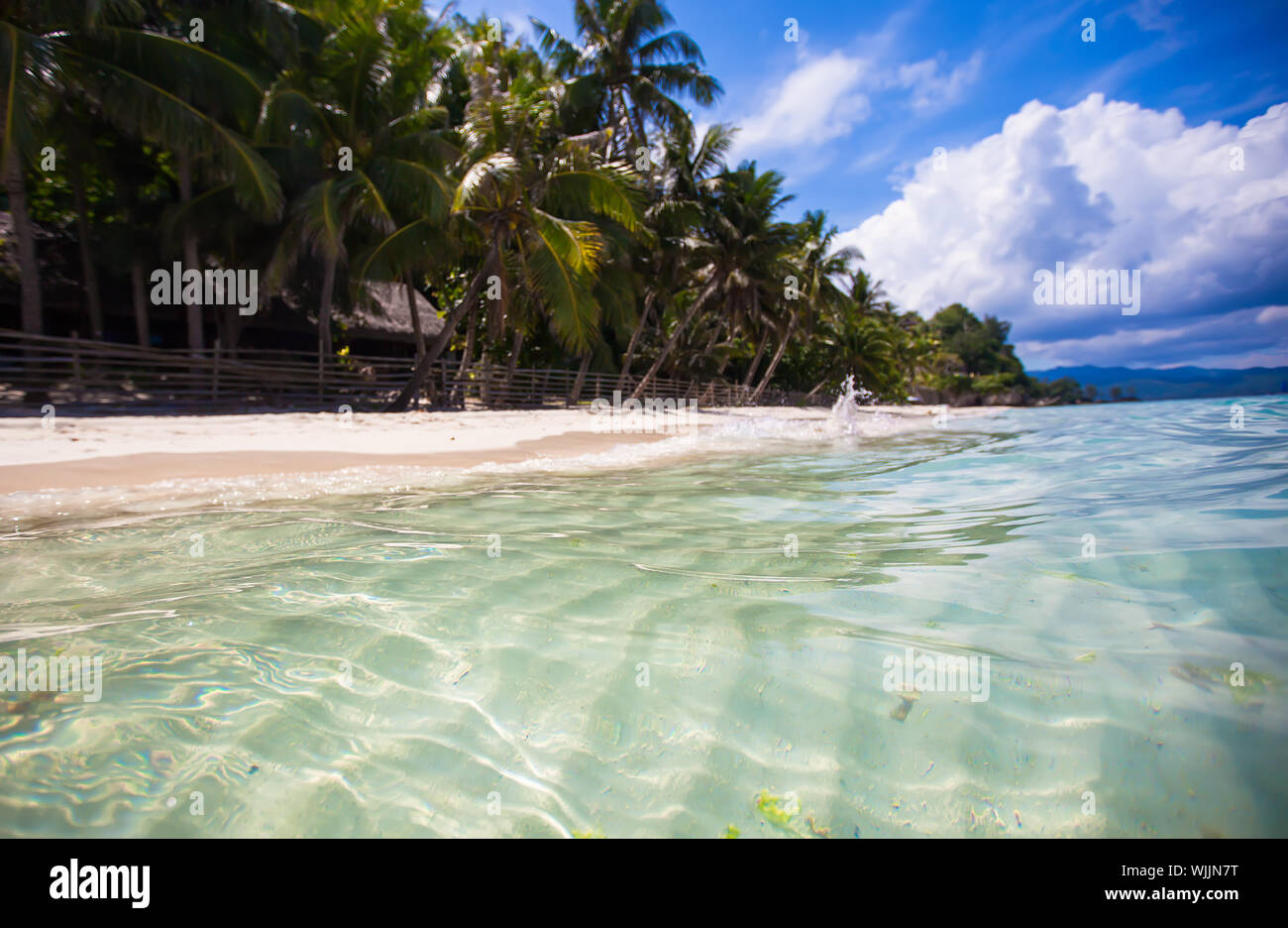 Tropical perfect beach with green palms,white sand and turquoise water ...