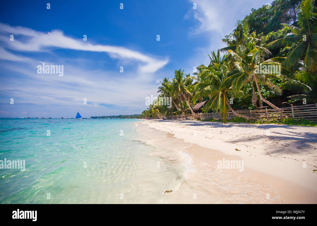 Tropical beach with beautiful palms and white sand, Philippines Stock ...