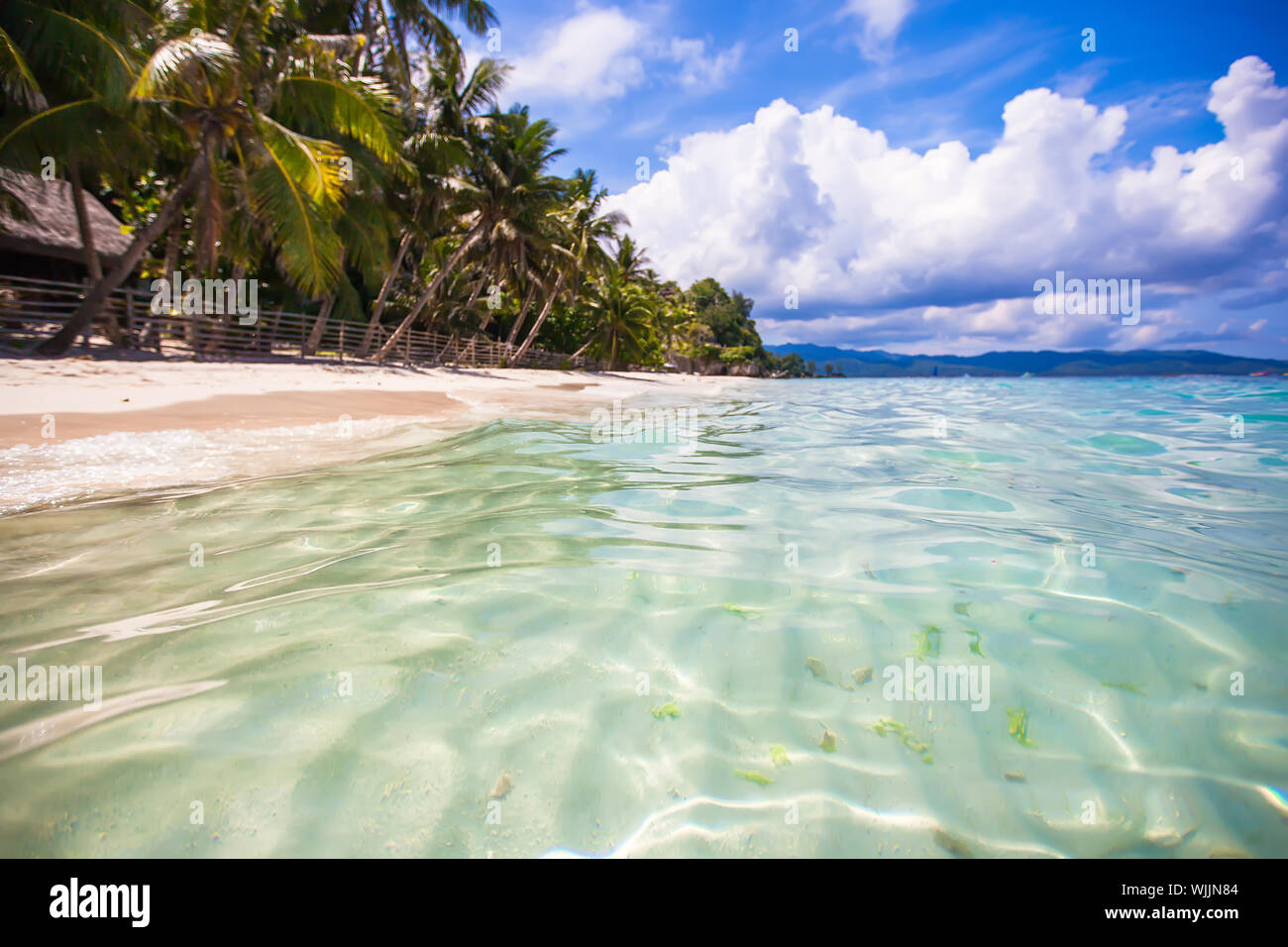 Tropical perfect beach with green palms,white sand and turquoise water ...