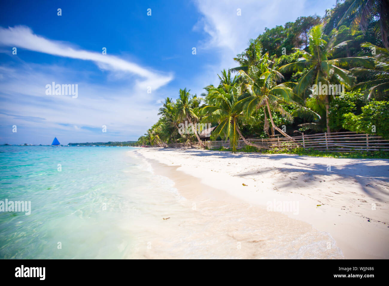 Tropical perfect beach with green palms,white sand and turquoise water ...