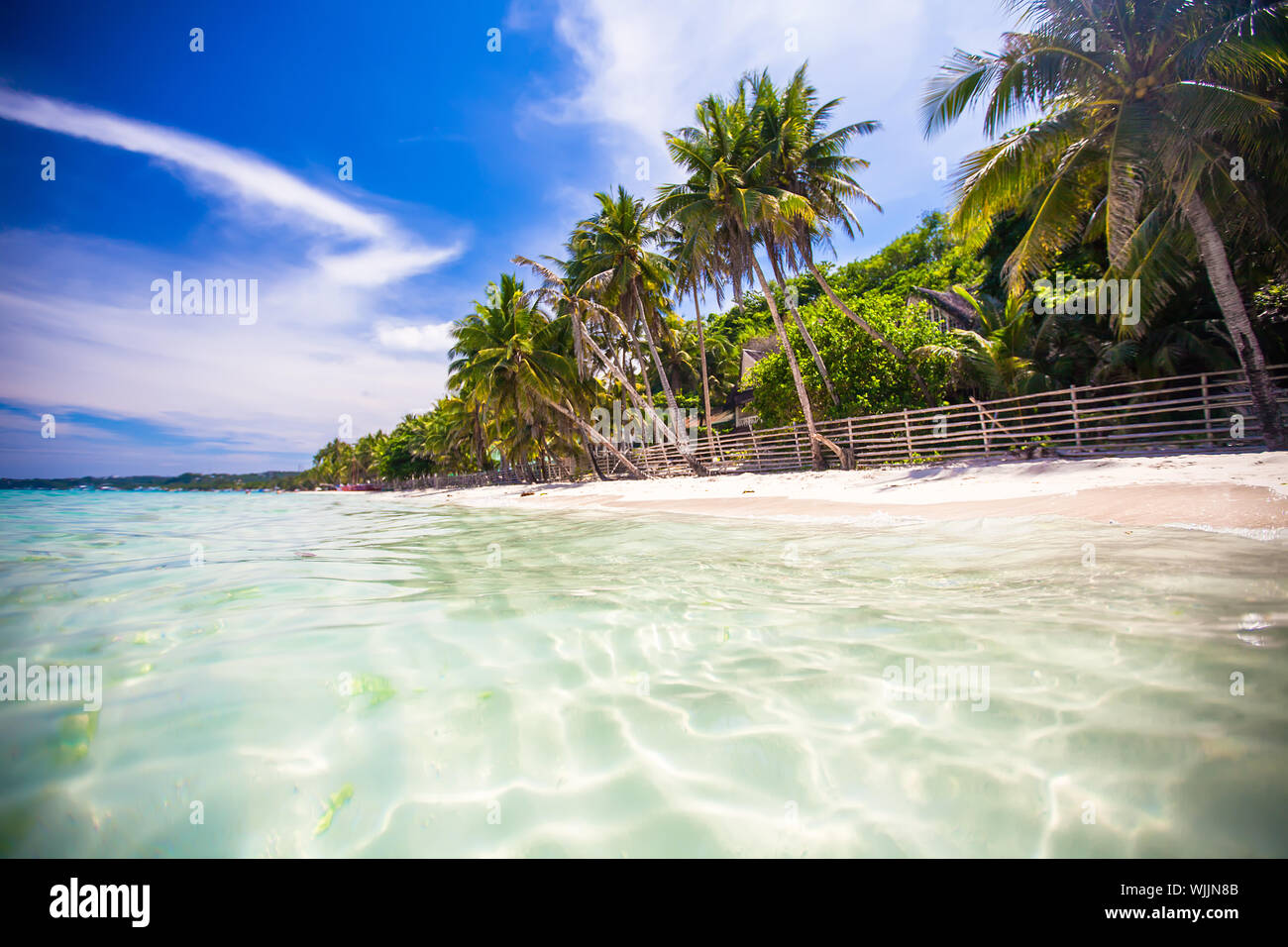Tropical perfect beach with green palms,white sand and turquoise water ...