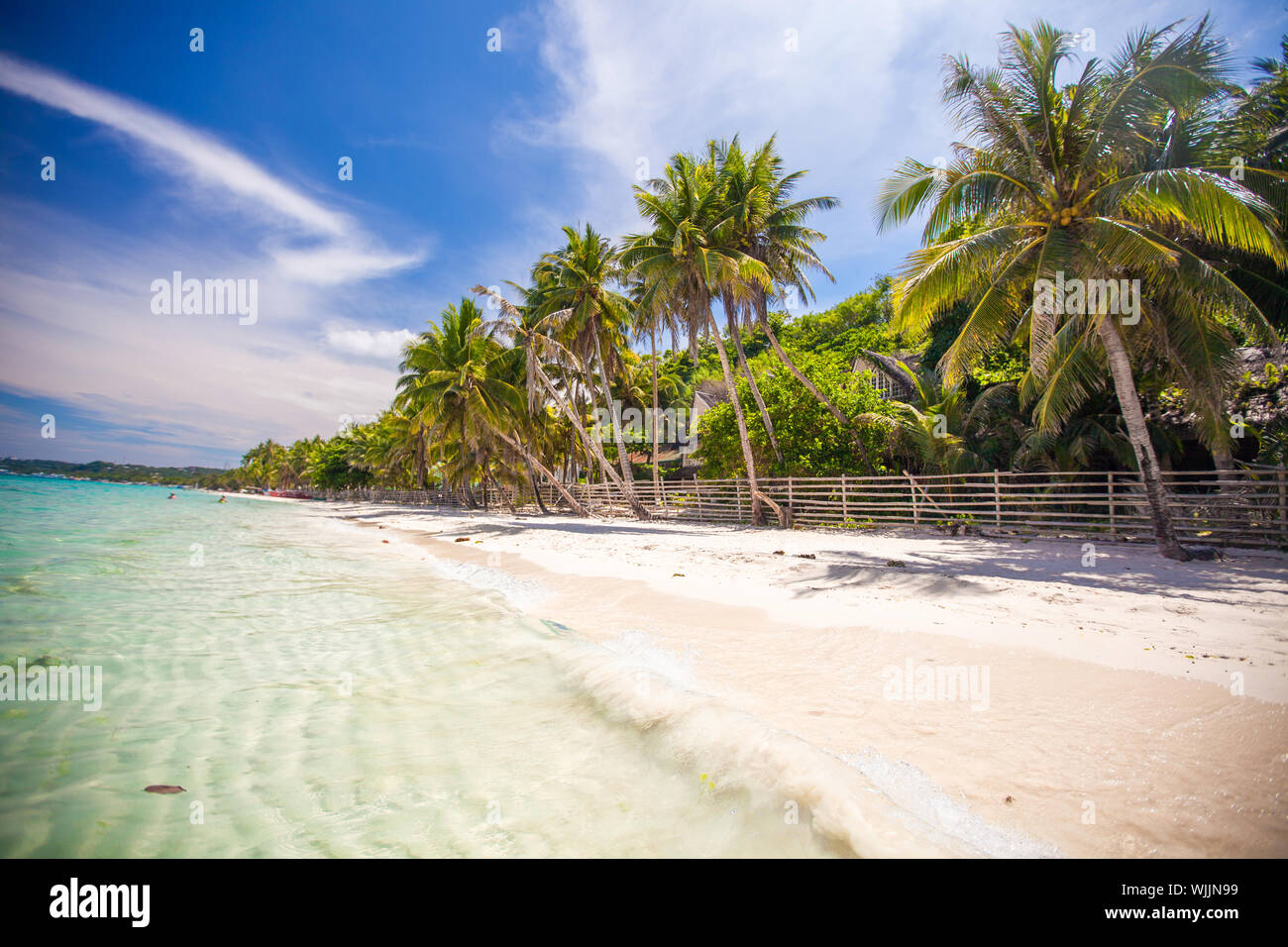 Tropical beach with beautiful palms and white sand, Philippines Stock ...