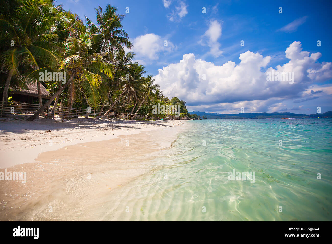 Tropical perfect beach with green palms,white sand and turquoise water ...