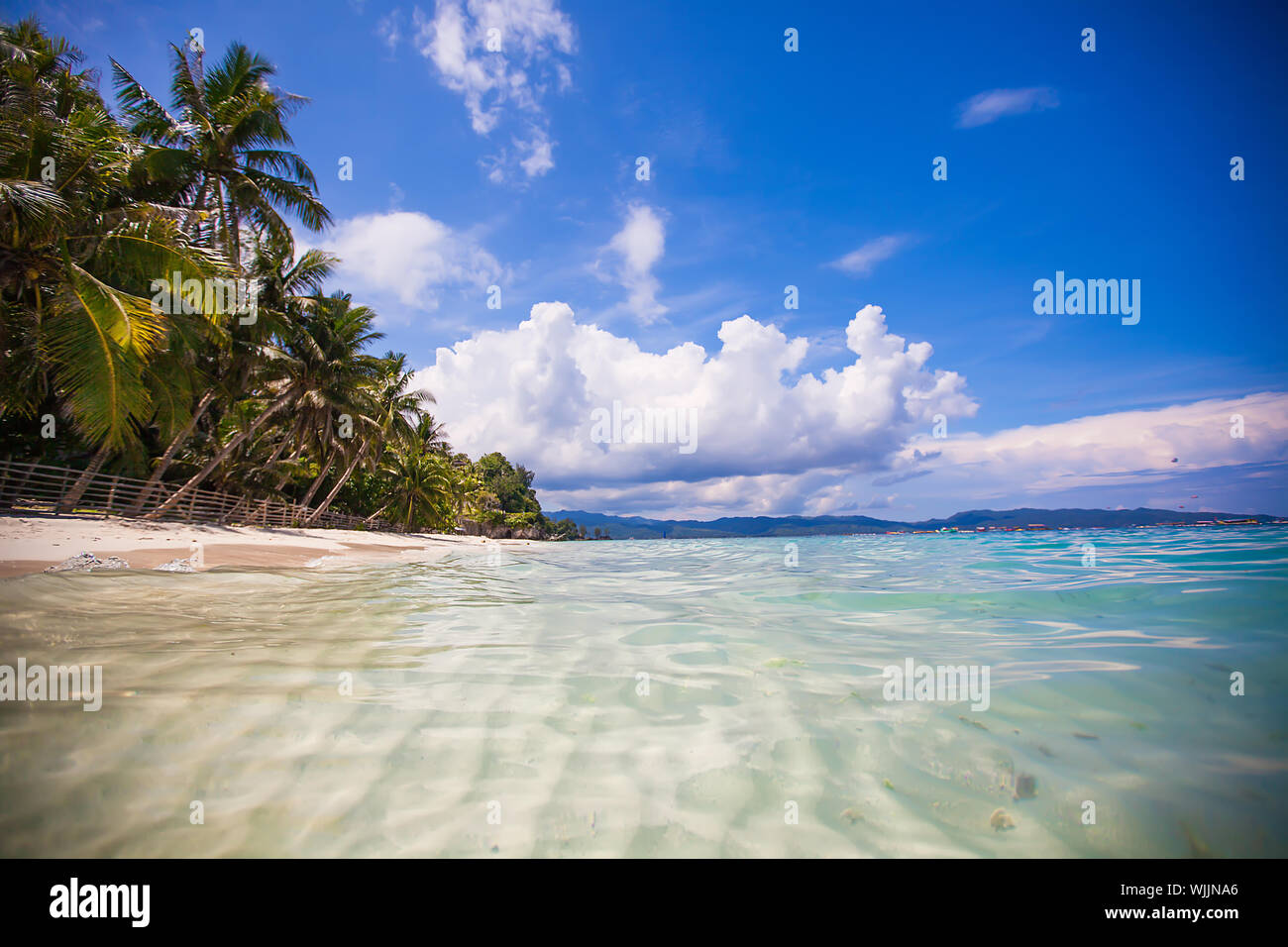 Tropical perfect beach with green palms,white sand and turquoise water ...