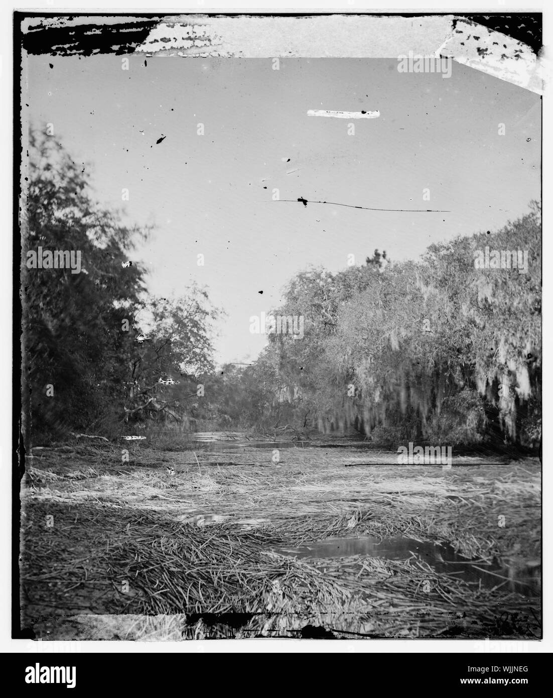 South carolina coast Black and White Stock Photos & Images - Alamy