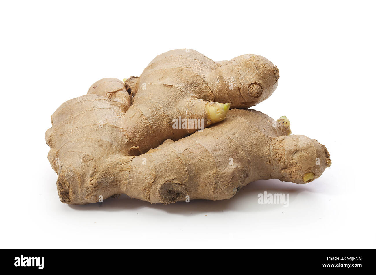 One isolated root of ginger on the white background Stock Photo - Alamy