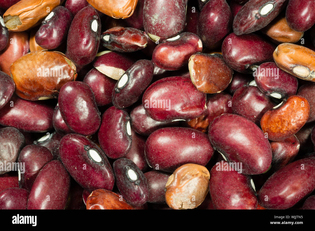 Various types of kidney beans hi-res stock photography and images - Alamy