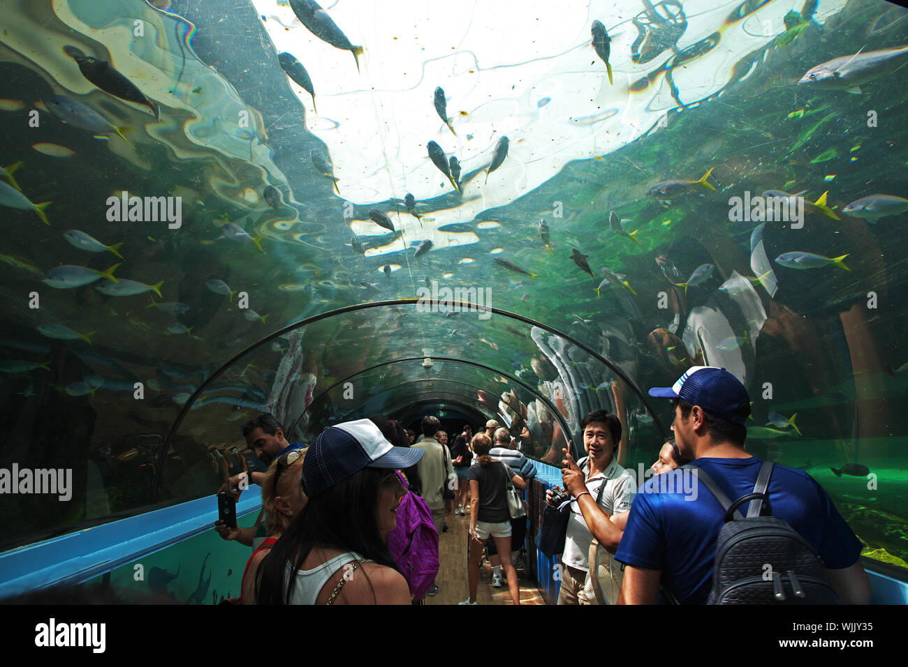 Sydney Aquarium High Resolution Stock Photography and Images - Alamy