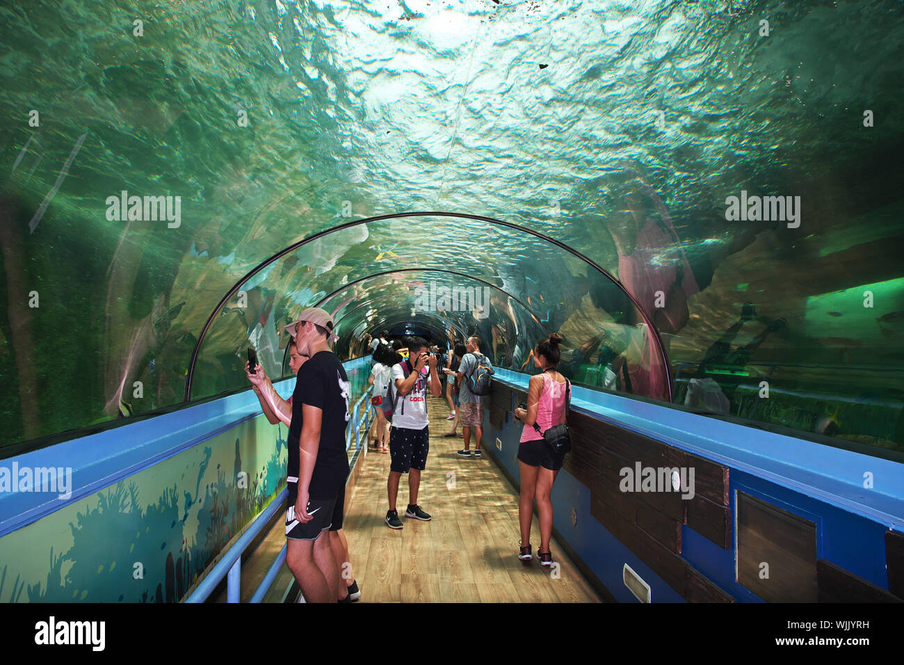 Fish coral sydney aquarium hi-res stock photography and images - Alamy