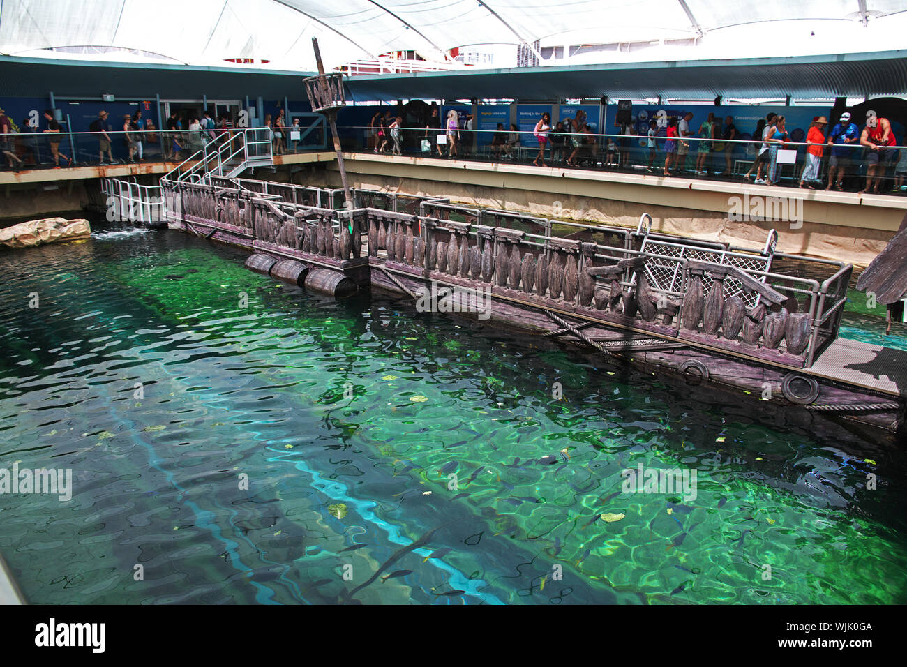 Fish coral sydney aquarium hi-res stock photography and images - Alamy