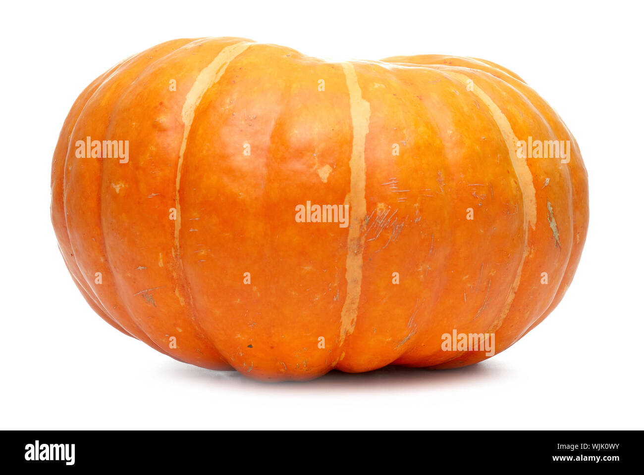 Single fresh pumpkin isolated on white background Stock Photo - Alamy