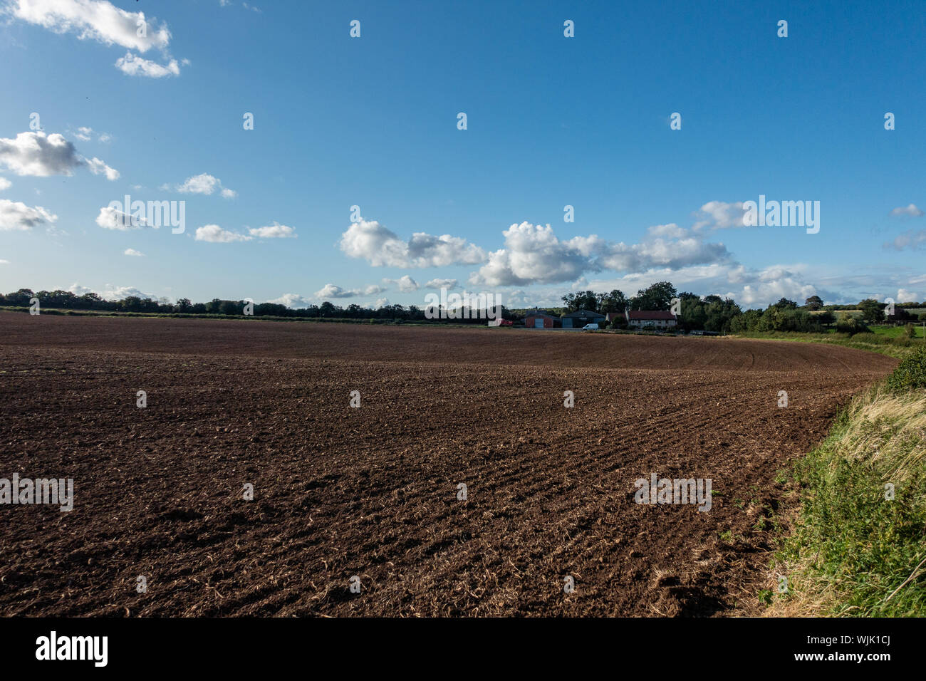 early evening light over English country field Stock Photo - Alamy