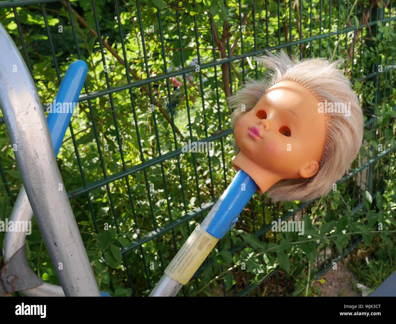 Head in fence hi-res stock photography and images - Alamy