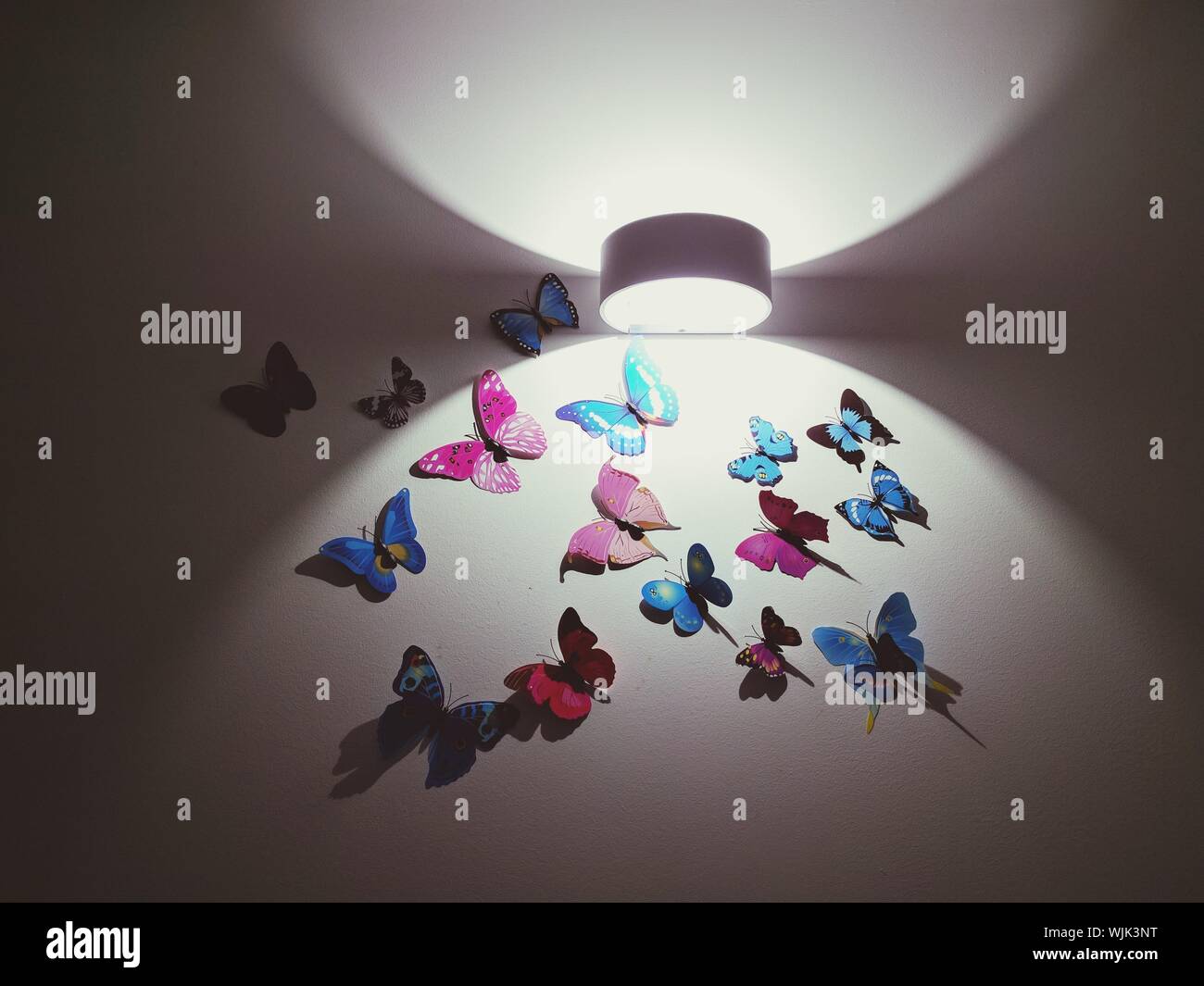 Illuminated butterfly hi-res stock photography and images - Alamy