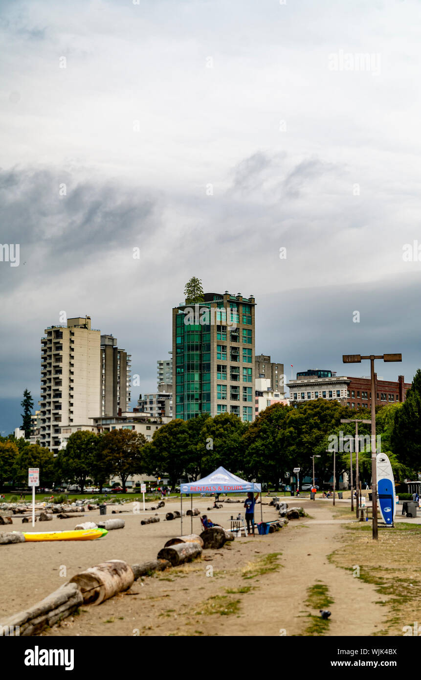 A large tree on apartment rooftop Stock Photo - Alamy