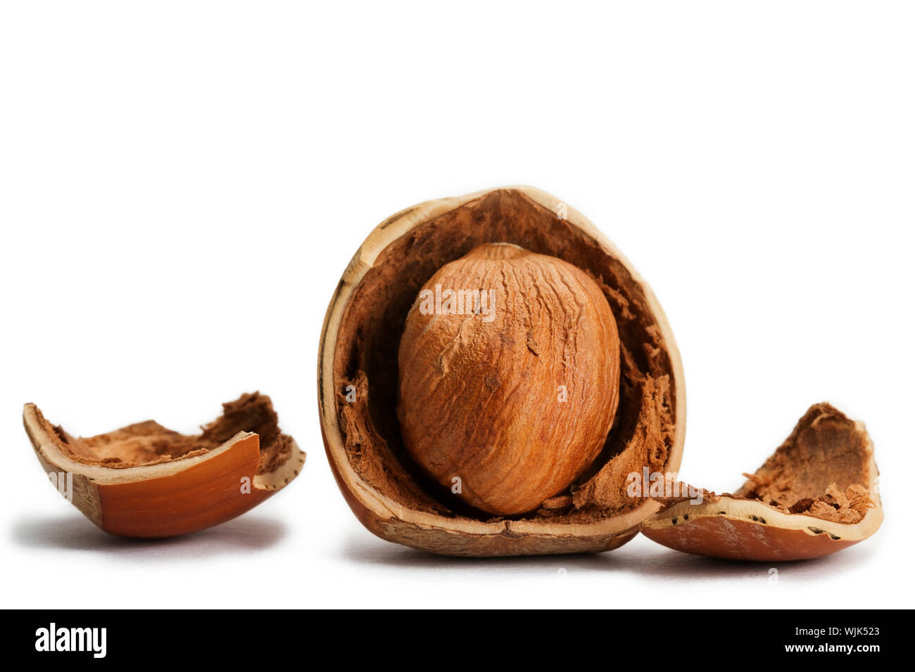 cracked hazelnut with parts of the shell on white background Stock ...