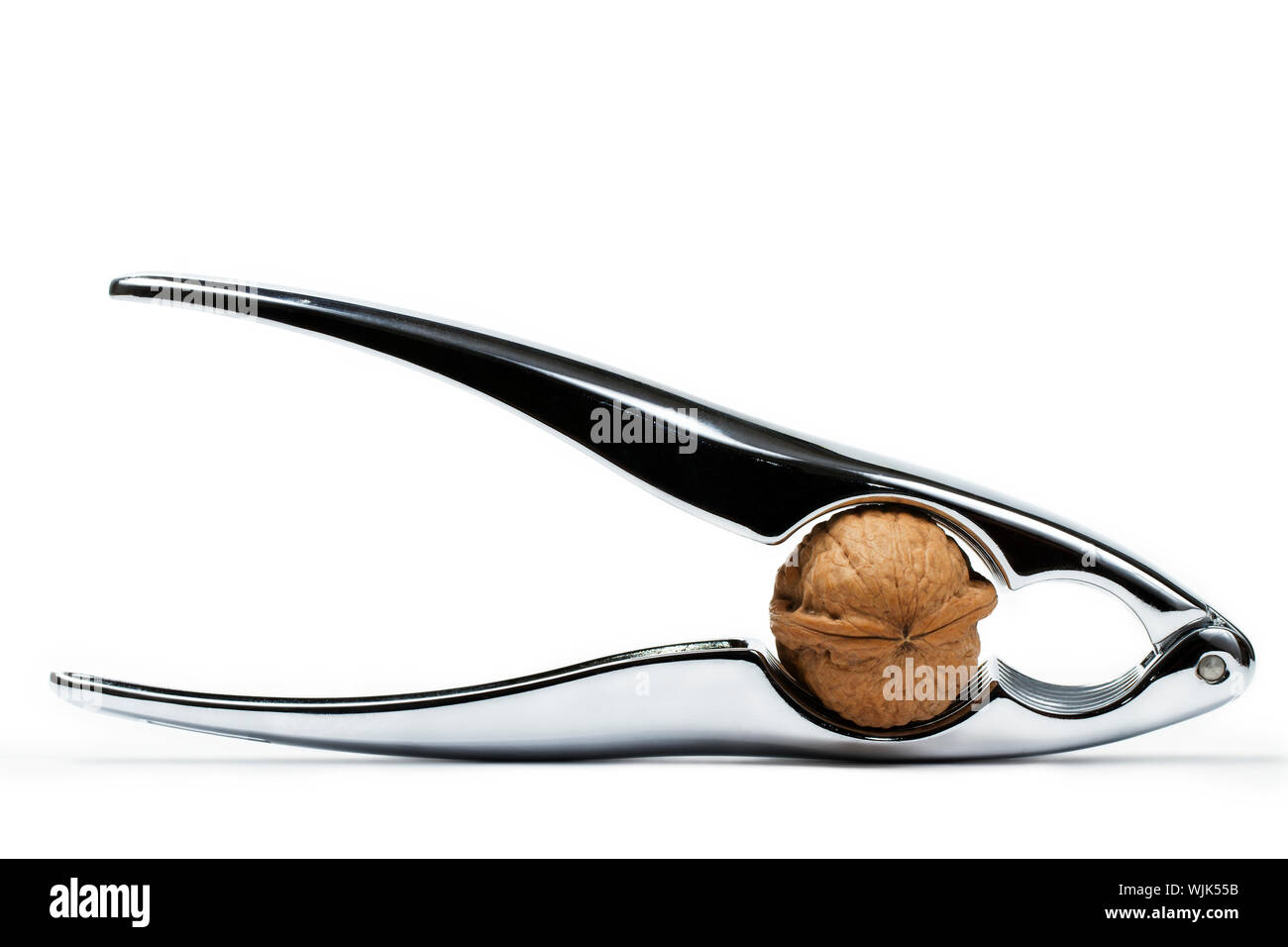walnut in a nutcracker on white background Stock Photo - Alamy