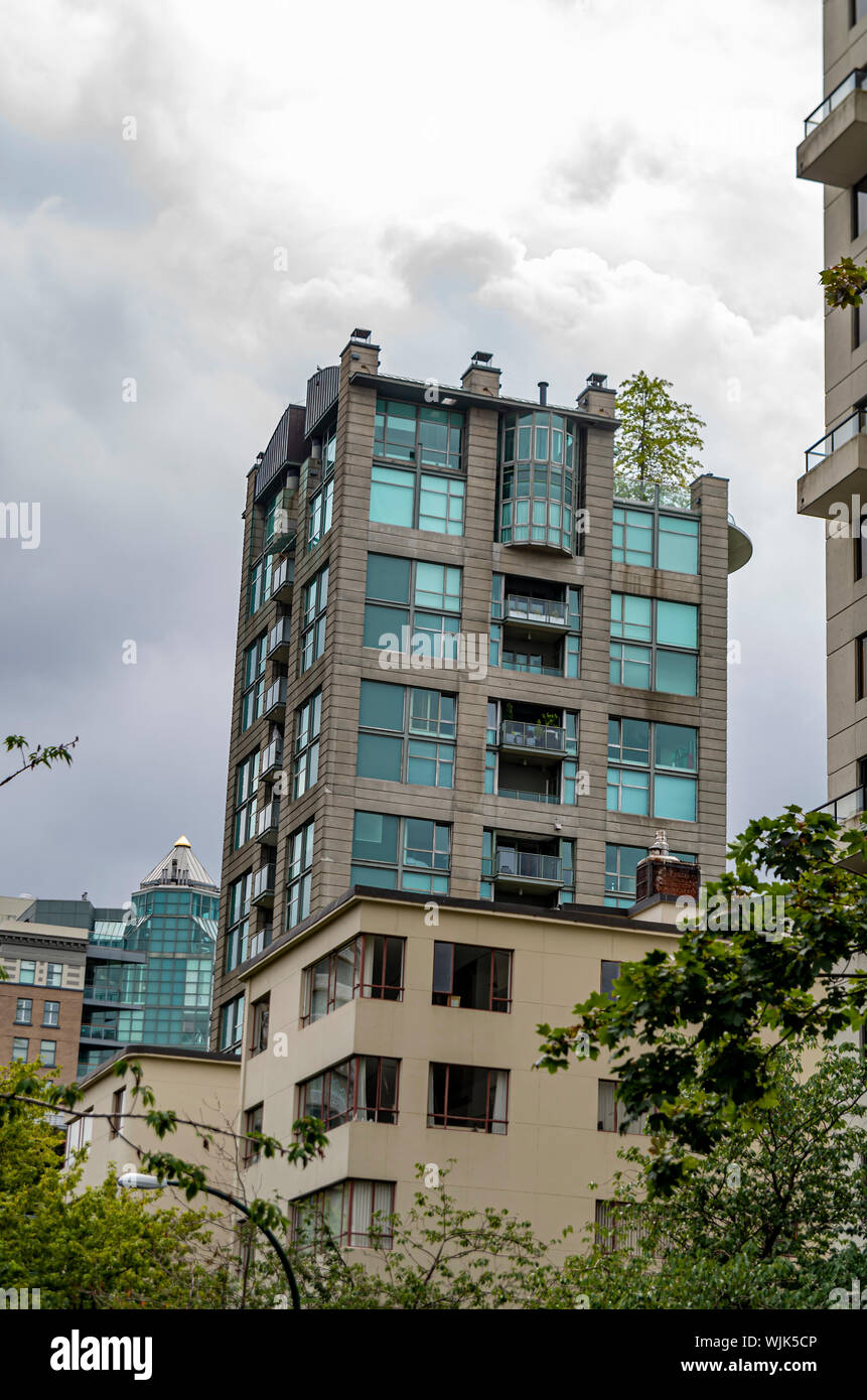 A large tree on apartment rooftop Stock Photo - Alamy