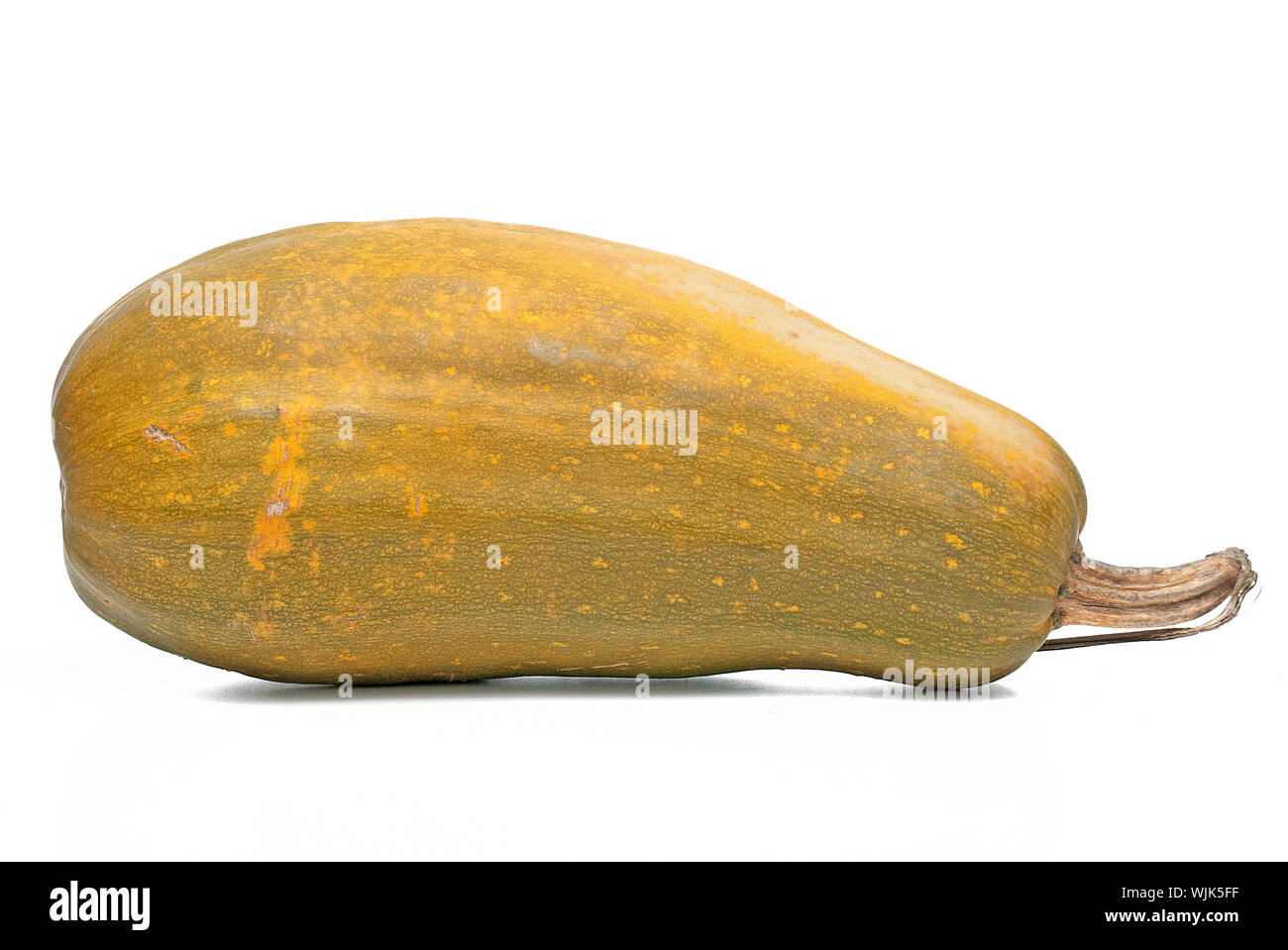 Calabash pumpkin isolated on the white background Stock Photo - Alamy
