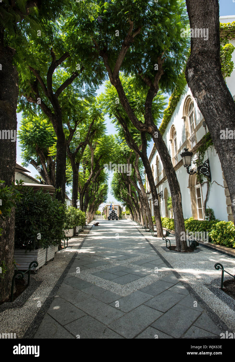 Osborne foundation hi-res stock photography and images - Alamy