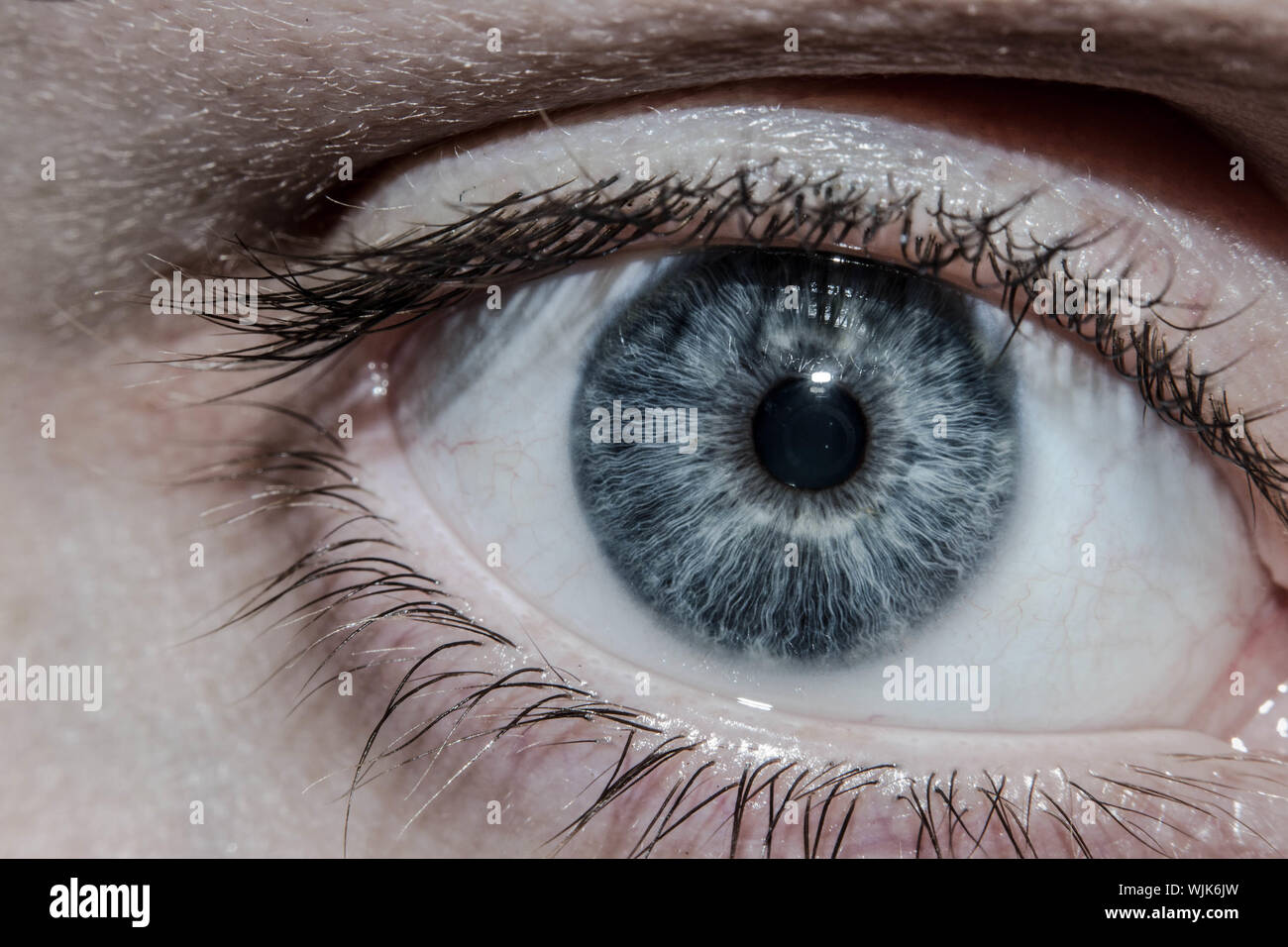 Macro human eye hi-res stock photography and images - Alamy
