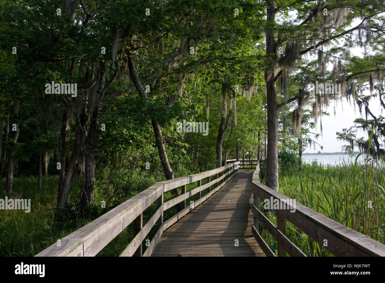 Historic Blakeley State Park located on the Tensaw River in Alabama is ...