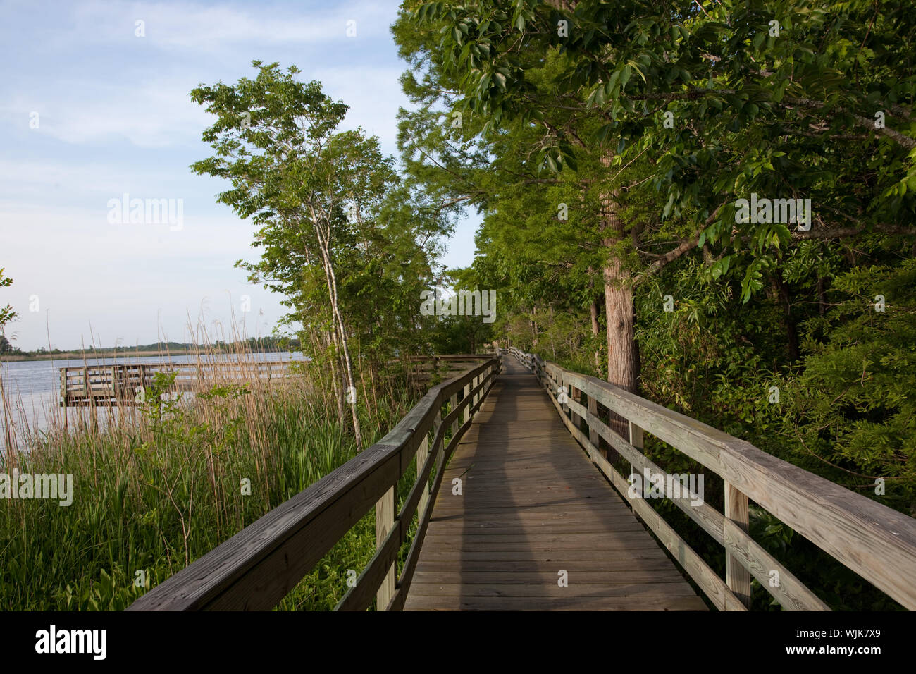Historic Blakeley State Park located on the Tensaw River in Alabama is ...