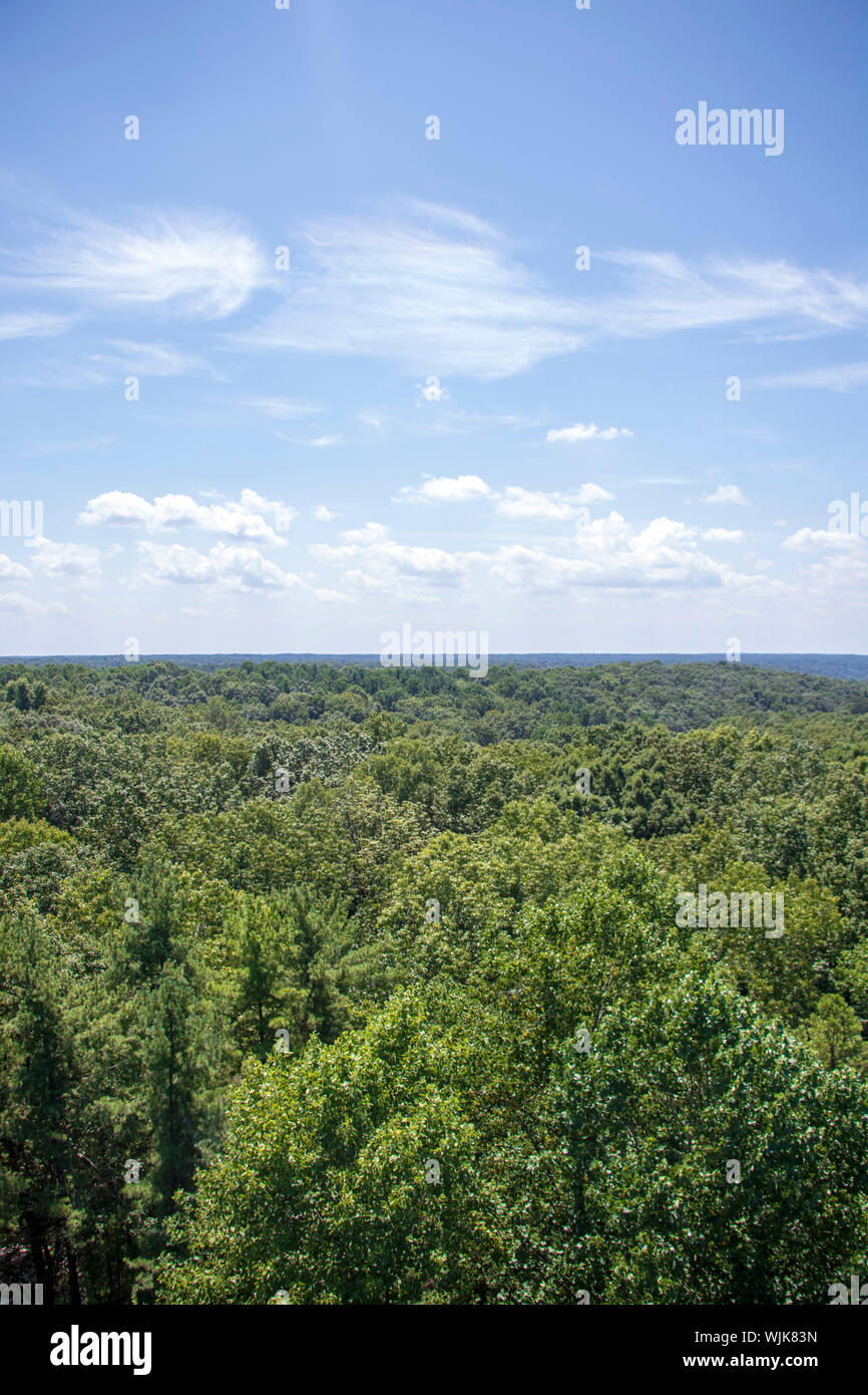 Forest horizon skyline hi-res stock photography and images - Alamy