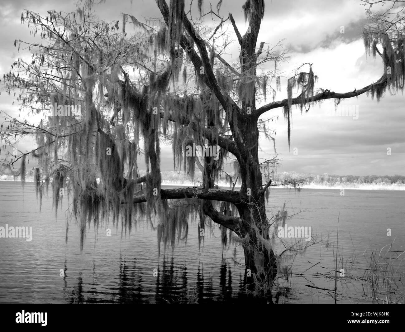 Historic Blakeley State Park, scene of the last major battle of the ...