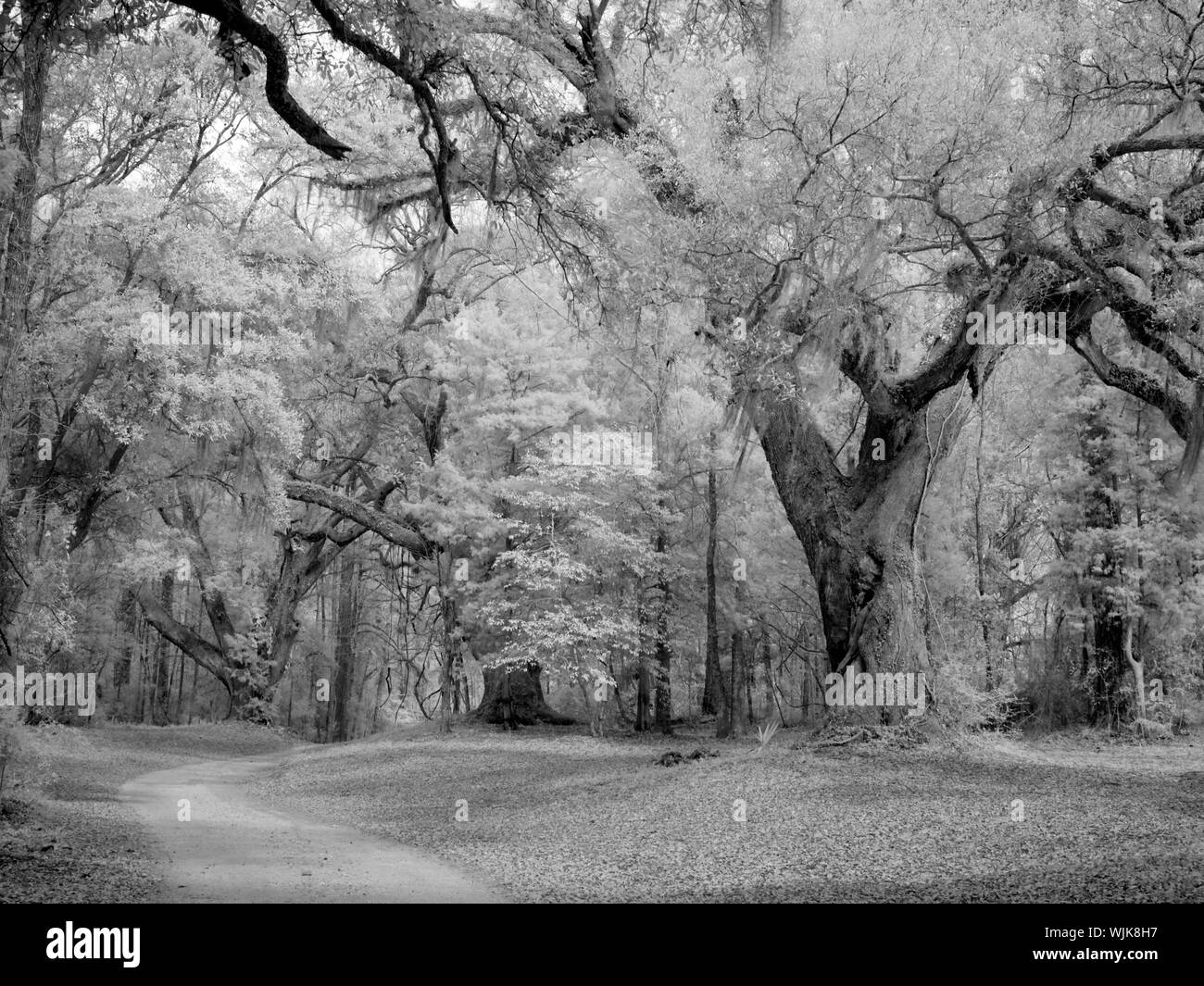 Spanish Fort Alabama High Resolution Stock Photography and Images - Alamy