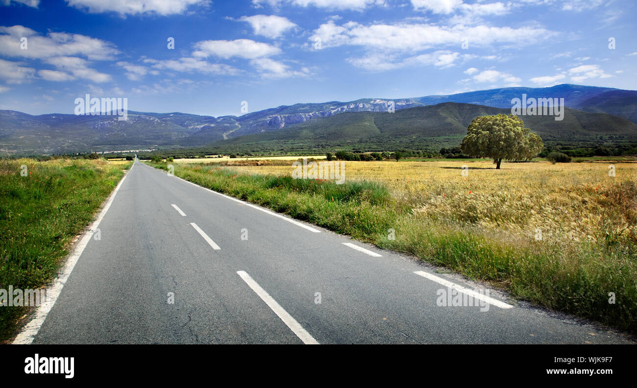 Road And Tree Stock Photo - Alamy