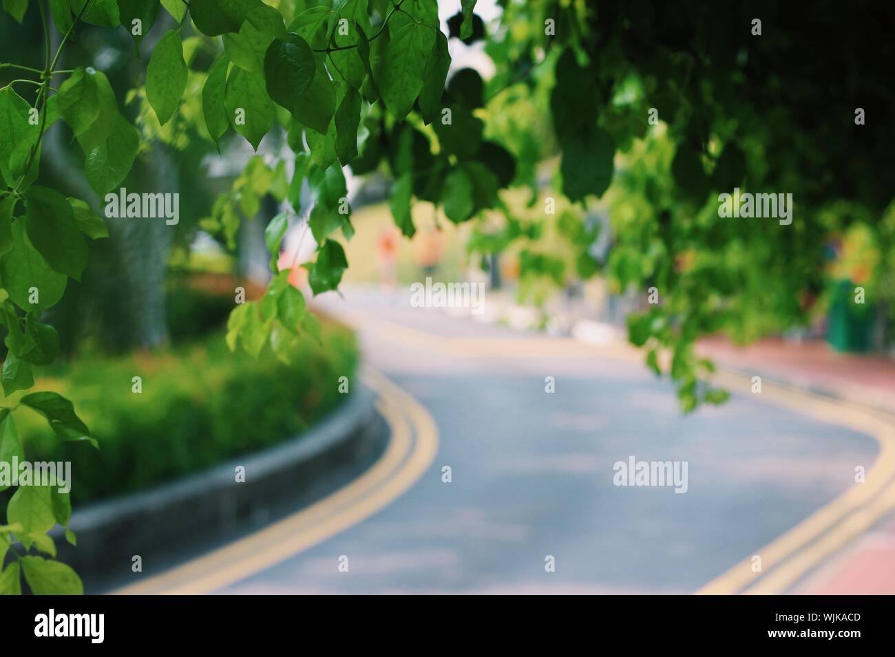 Empty Tree Branches High Resolution Stock Photography and Images - Alamy