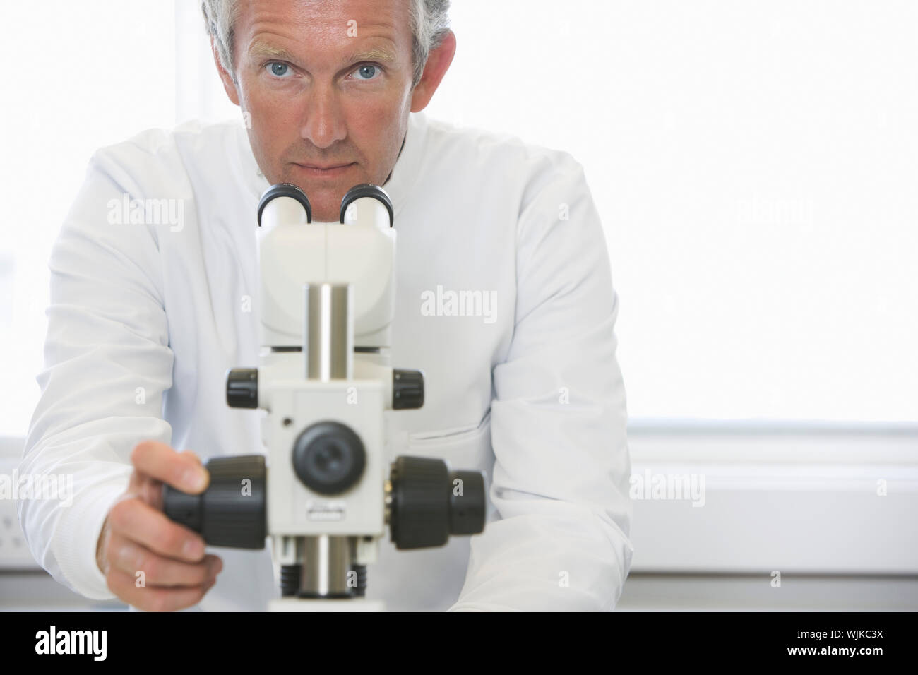 Portrait of middle aged scientist using microscope in laboratory Stock ...