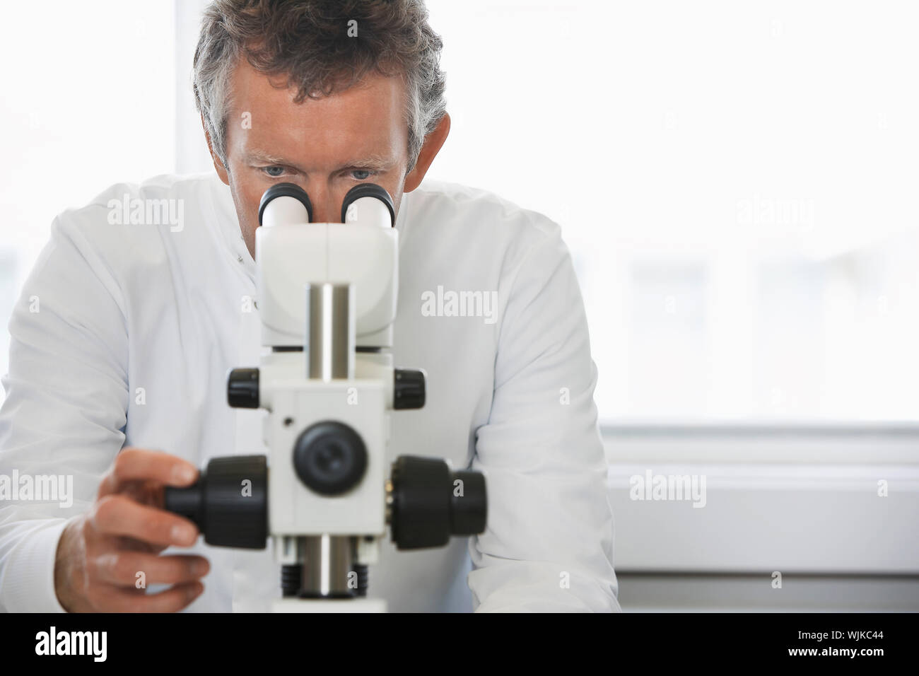 Middle aged scientist adjusting microscope in laboratory Stock Photo ...