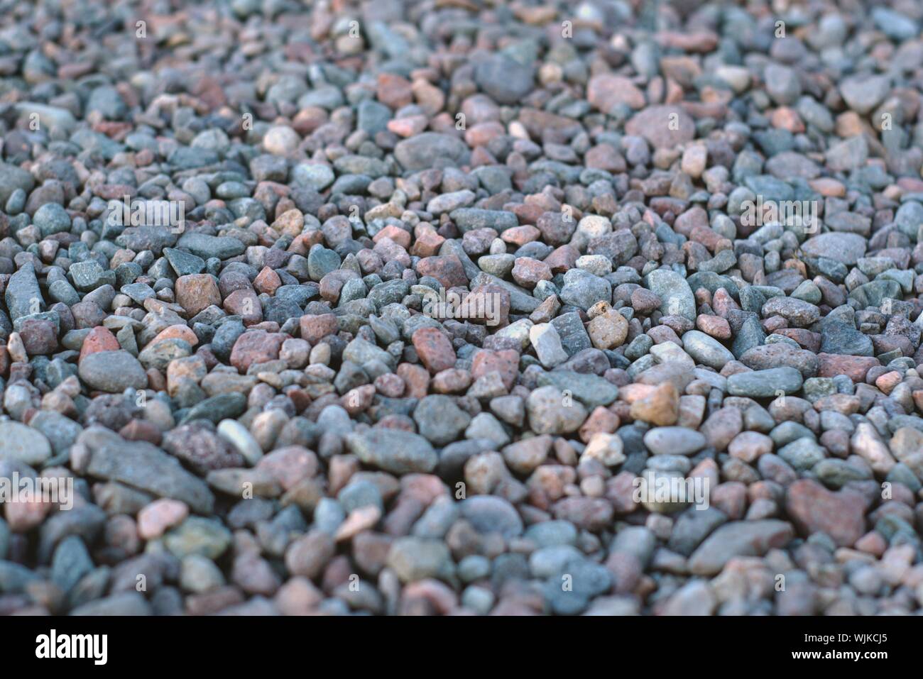 Small river pebbles on a gravel path. Texture detail Stock Photo - Alamy