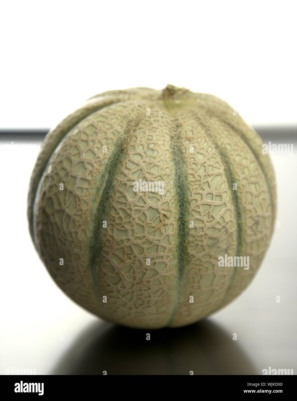 One melon fruit over a stainless steel table Stock Photo - Alamy