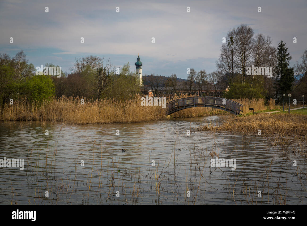 Wandern am Obertrumer See im Flachgau, Salzburg Stock Photo - Alamy