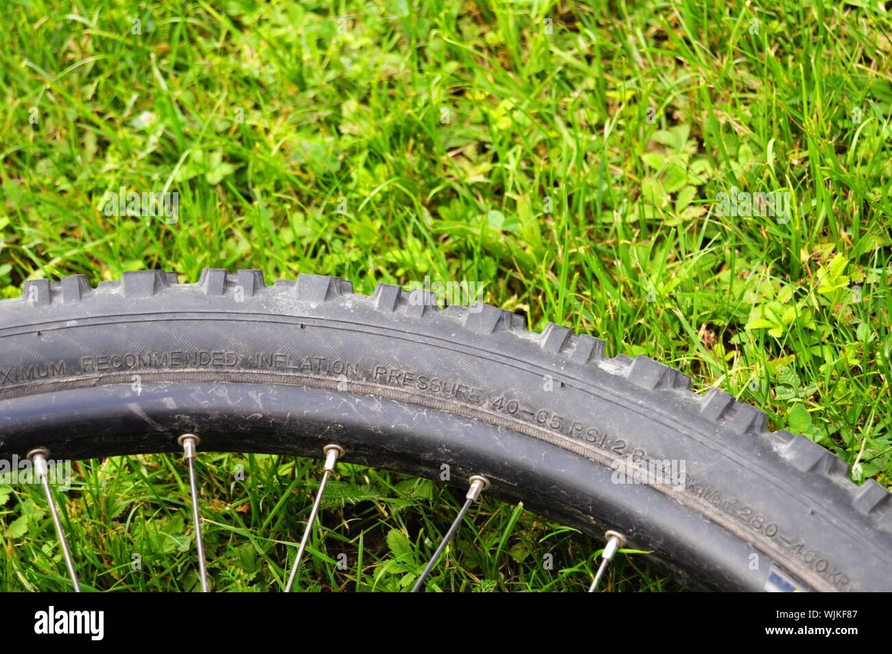 mountain bike offroad tire in green grass showing sport in nature ...