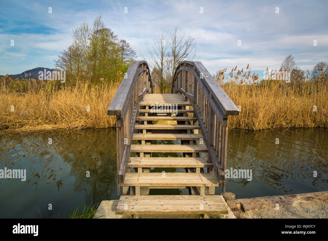 Wandern am Obertrumer See im Flachgau, Salzburg Stock Photo - Alamy