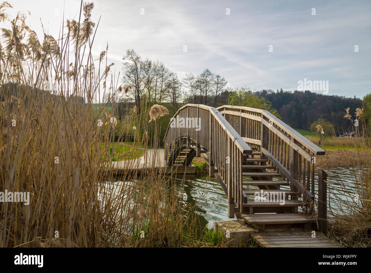 Wandern am Obertrumer See im Flachgau, Salzburg Stock Photo - Alamy