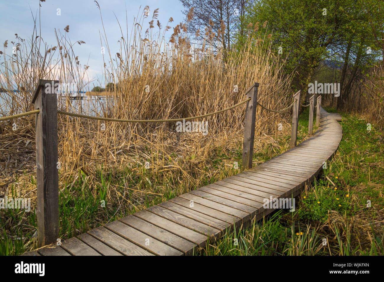 Wandern am Obertrumer See im Flachgau, Salzburg Stock Photo - Alamy