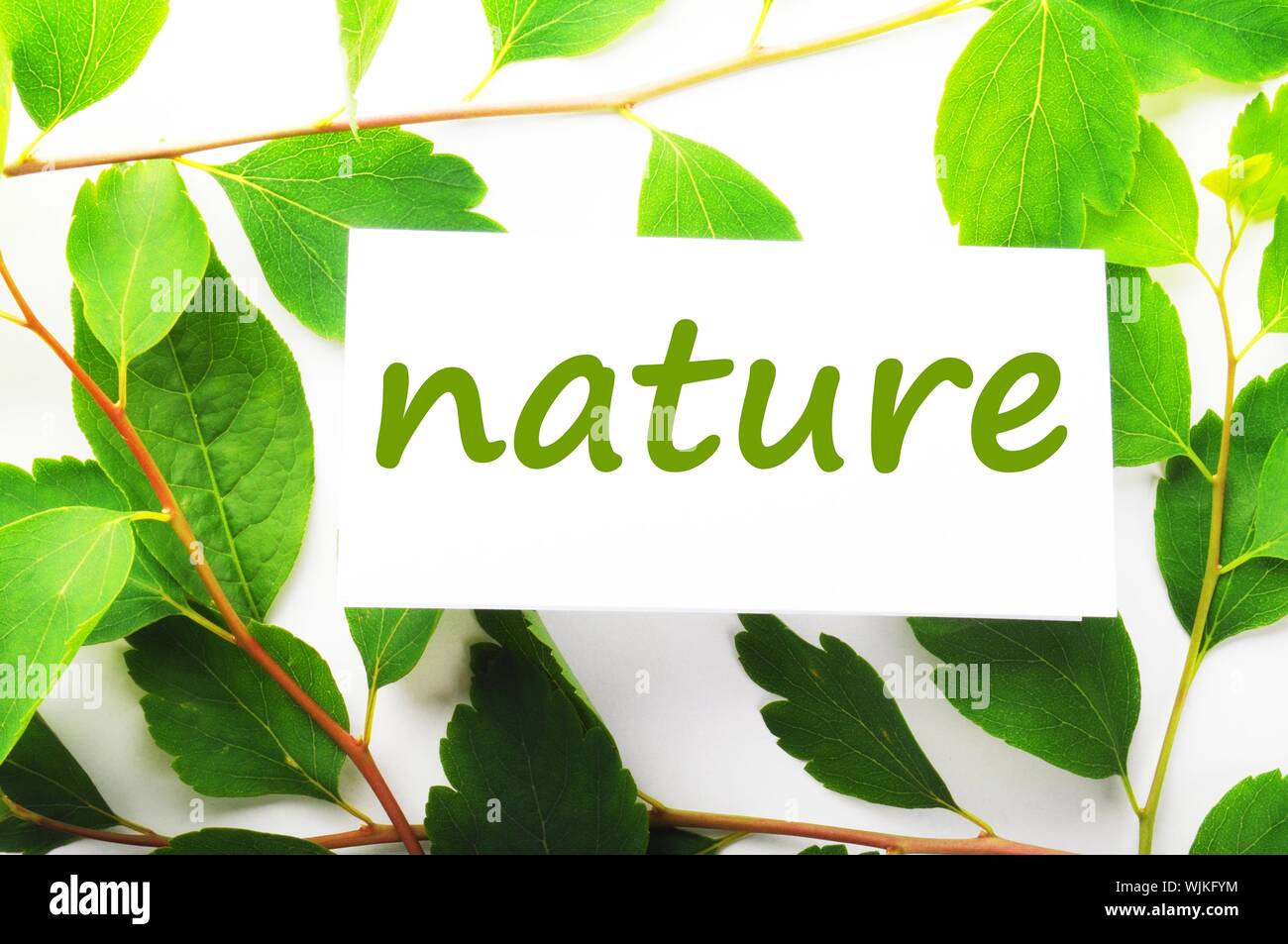 nature concept with word on nature still life Stock Photo - Alamy