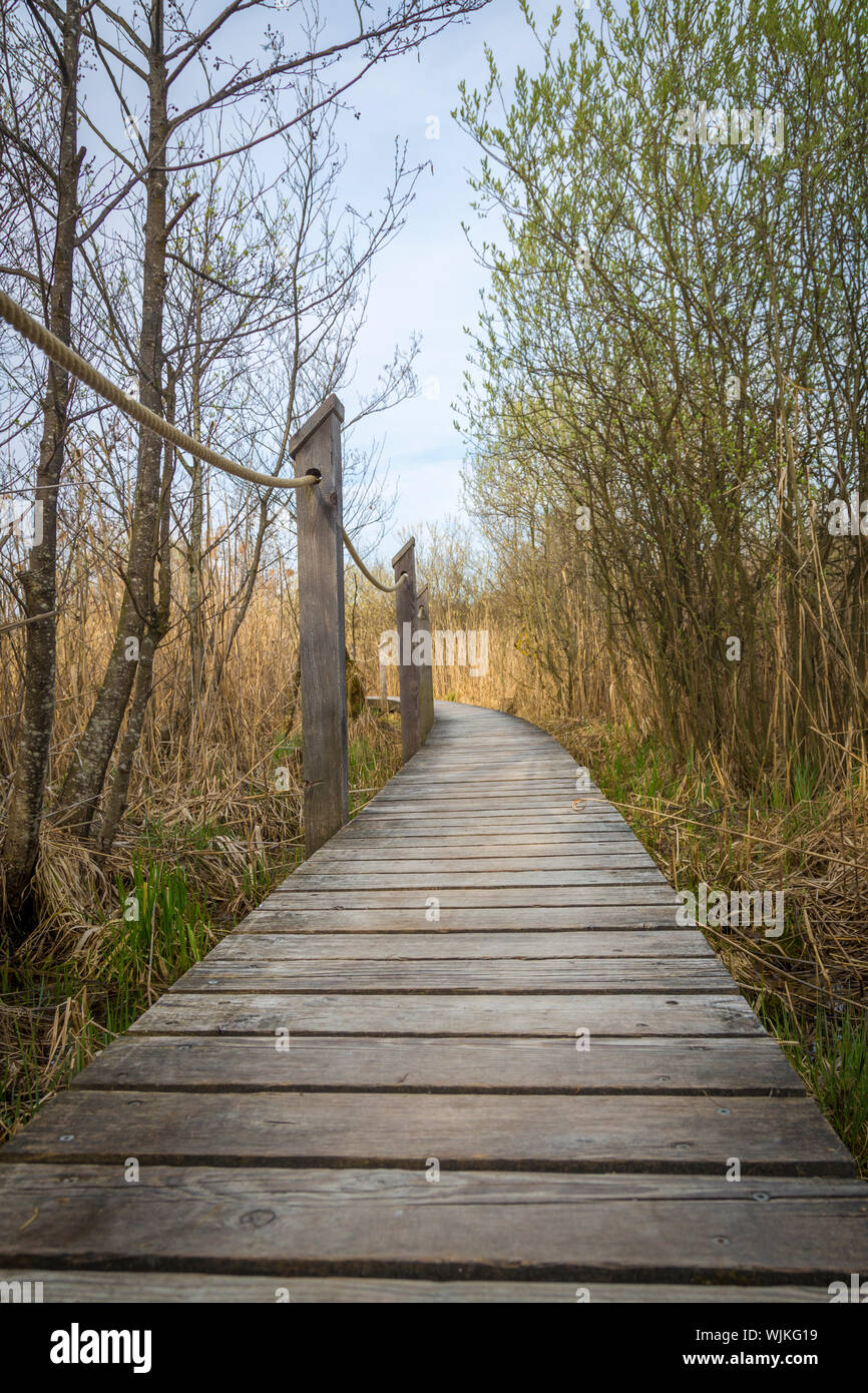Wandern am Obertrumer See im Flachgau, Salzburg Stock Photo - Alamy