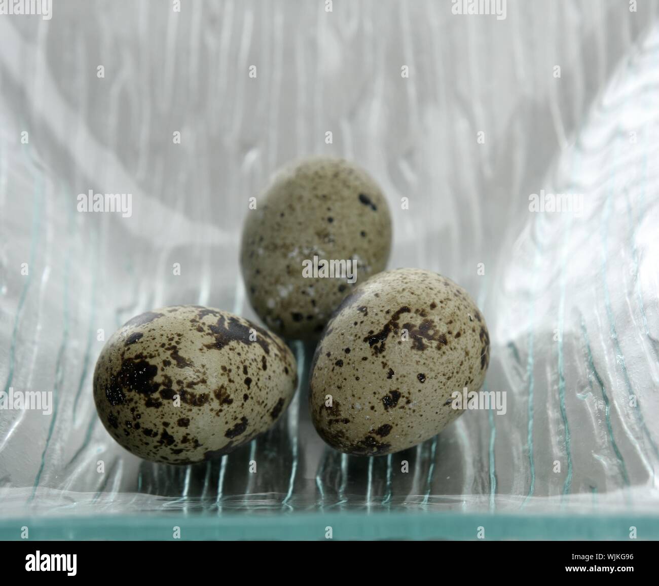 Three quail bird eggs simple composition Stock Photo - Alamy