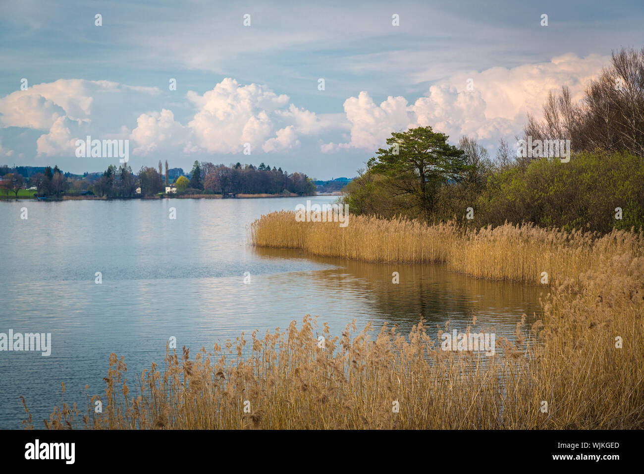 Wandern am Obertrumer See im Flachgau, Salzburg Stock Photo - Alamy