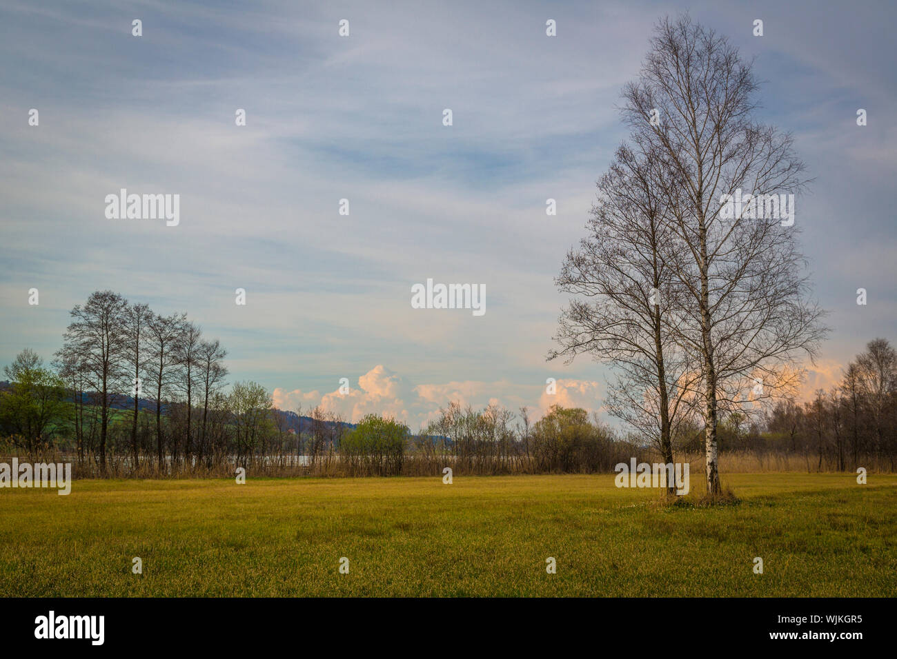 Erholung am Ufer der Obertrumer Sees, Salzburg Stock Photo - Alamy