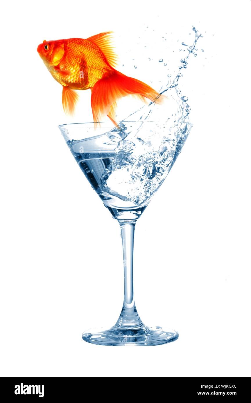 goldfish in water glass fishtank isolated on white background Stock ...