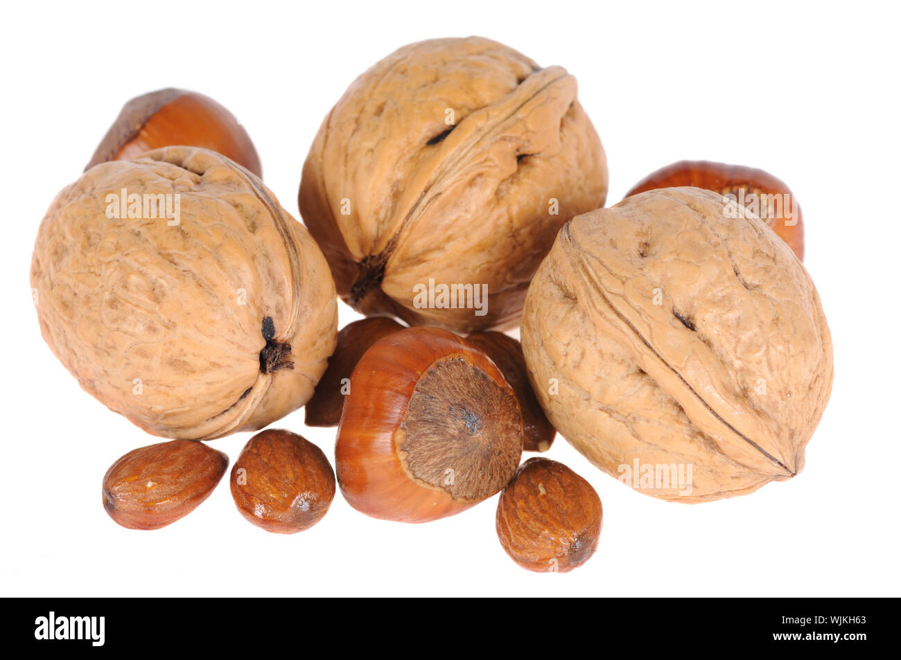 walnuts and hazelnuts isolated on white background Stock Photo - Alamy
