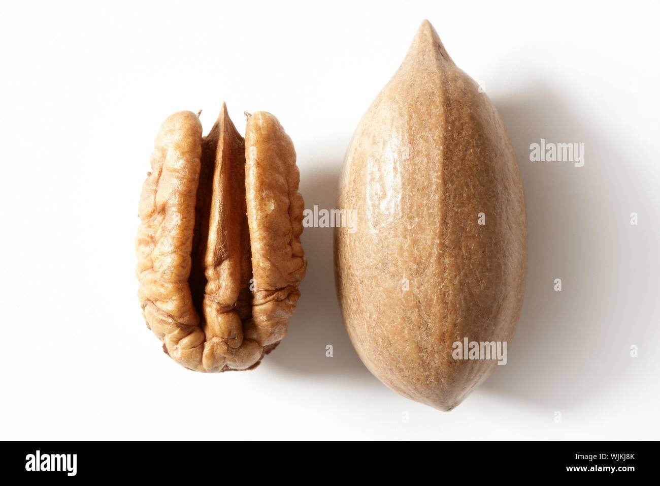 Pecan nut fruit and shell isolated over white studio background Stock ...